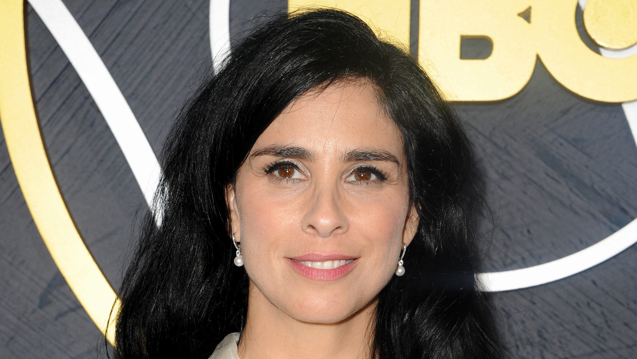 Court shoots down Sarah Silverman’s case against Meta’s AI – but ...